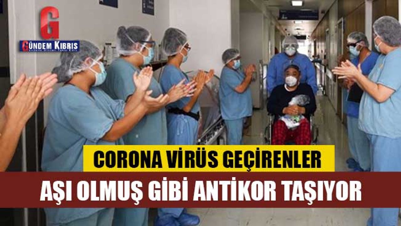 Araştırma: Corona virüs geçirenler aşı olmuş gibi antikor taşıyor ...