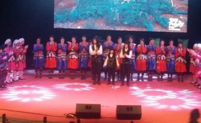 Pulya Festivali sürüyor - Gündem Kıbrıs Gazetesi - Kıbrıs Haber