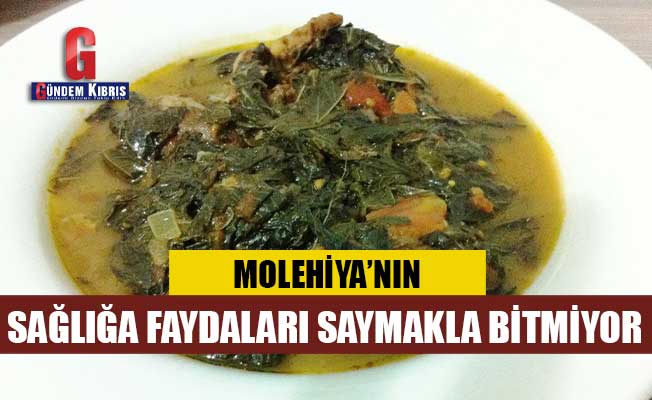 Molehiya’nın Sağlığa Faydaları - Gündem Kıbrıs Gazetesi - Kıbrıs Haber