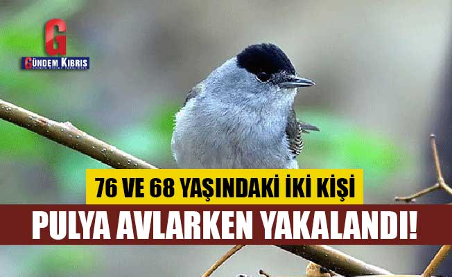 Pulya avlarken yakalandılar! - Gündem Kıbrıs Gazetesi - Kıbrıs Haber